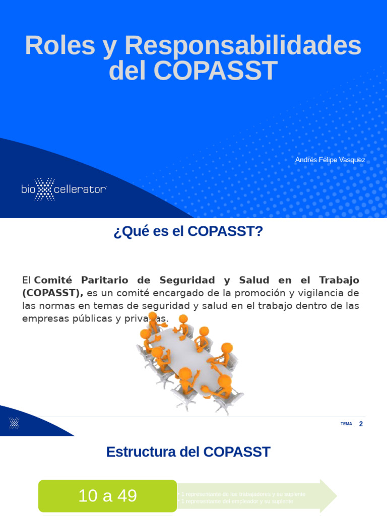 Roles y Responsabilidades Del COPASST | PDF