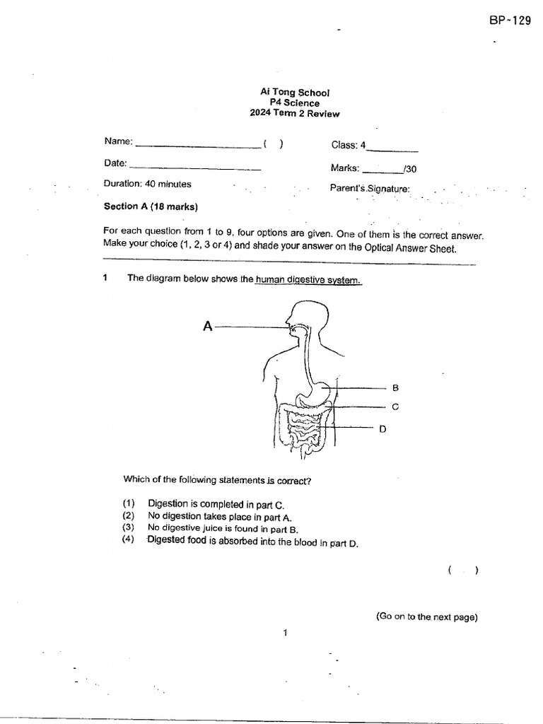 P4 Science 2024 WA2 Aitong | PDF
