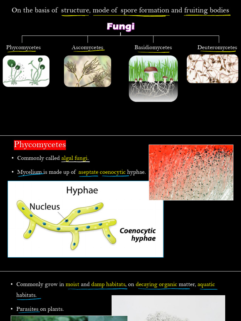 Systematics of liv org lec 8 - Notes | PDF