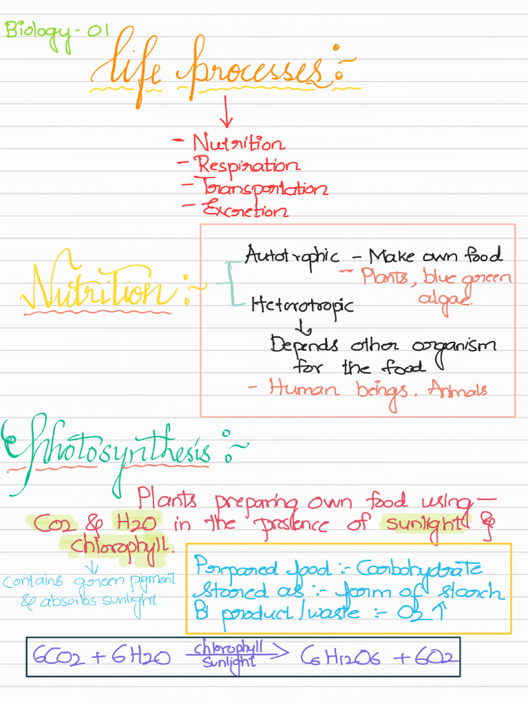 Biology Life Processes - 241022 - 020922 | PDF
