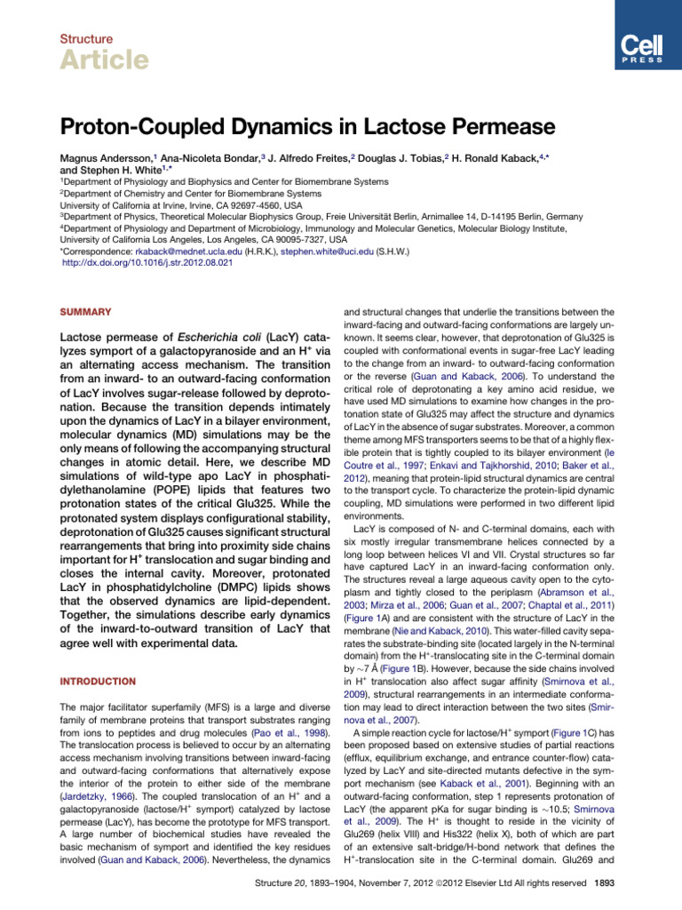Dynamics of Lactose Permease Conformation | PDF | Structural Biology ...