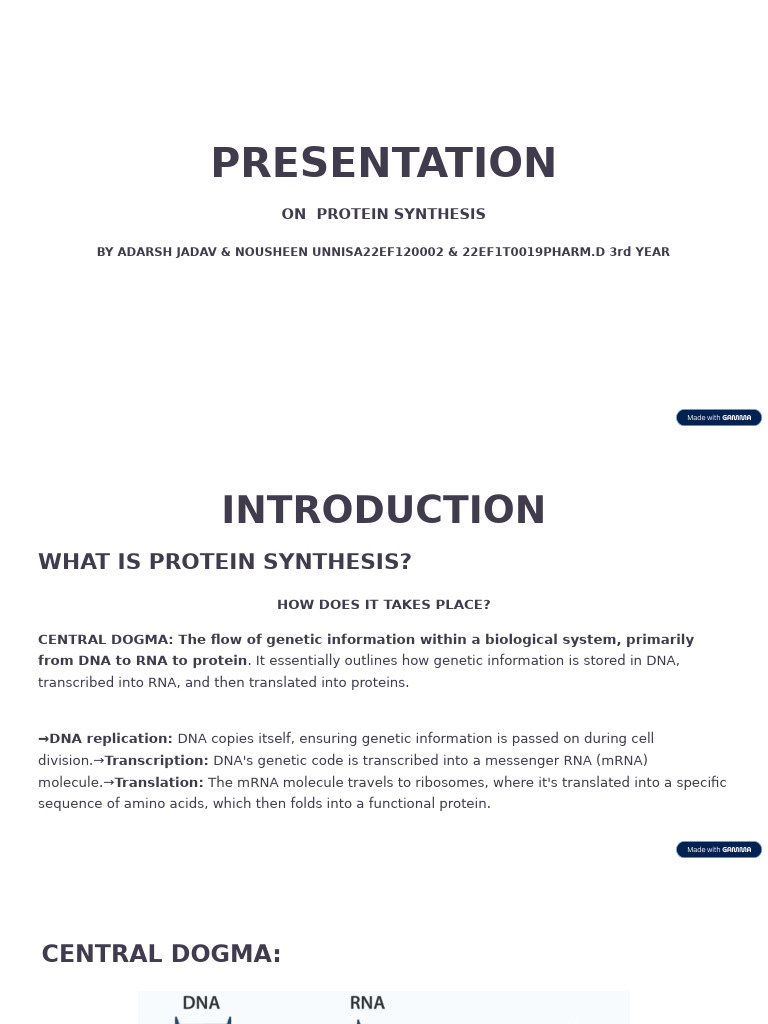Presentation ON PROTEIN SYNTHESIS | PDF | Translation (Biology) | Ribosome