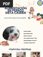 Colirio Bideon: Usos y Precauciones | PDF | Hipertensión | Anestesia