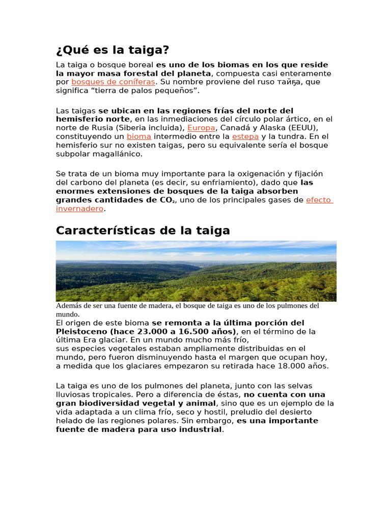 Definición de la Taiga y su Importancia | PDF | Entorno natural ...