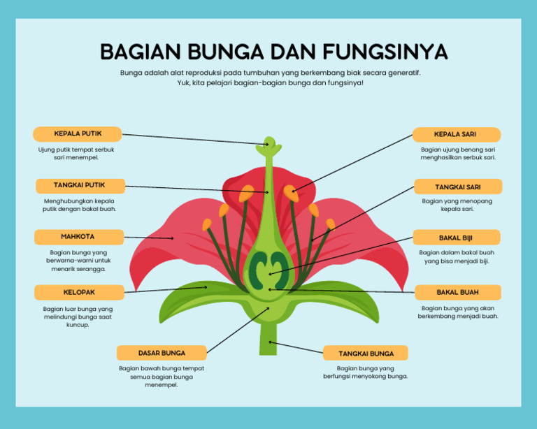 Struktur dan Fungsi Bagian Bunga | PDF