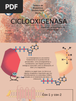 Fisiología de las Ciclooxigenasas COX-1, 2 y 3 | PDF | Medicina CLINICA ...