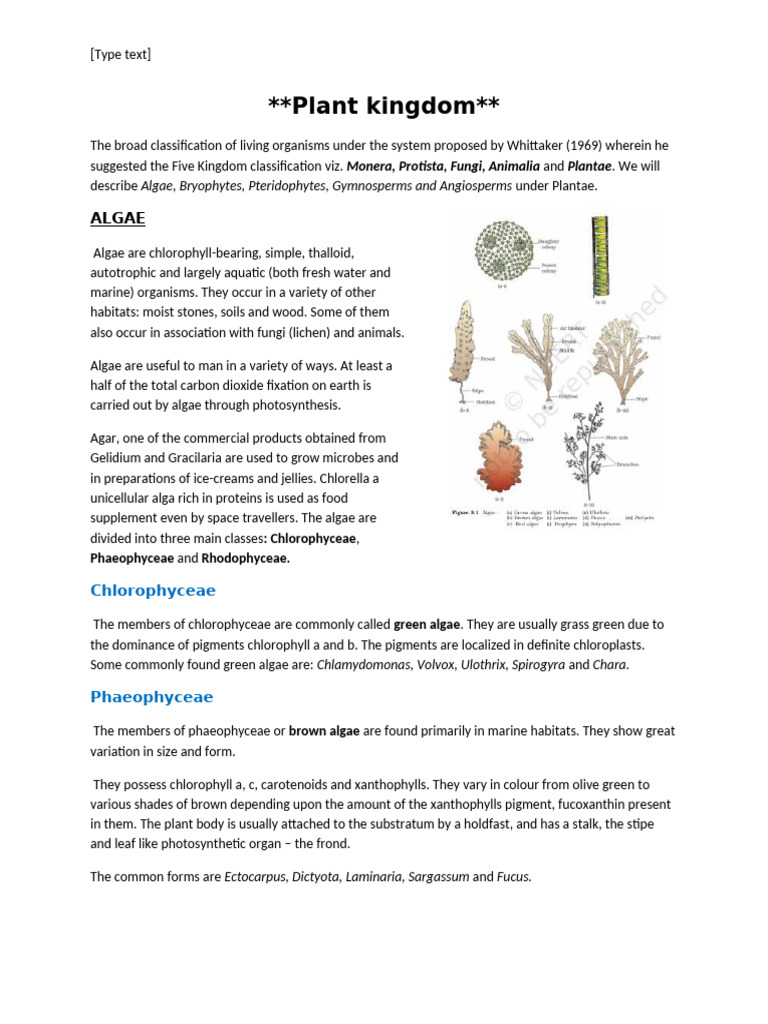 Overview of Plant Kingdom Classification | PDF | Fern | Spore