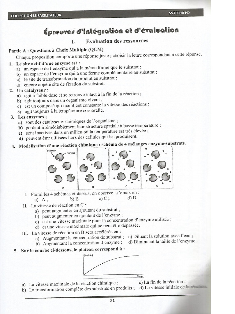 Fiche de TD Sur La Catalyse | PDF