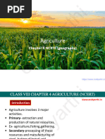 Class 8 Geography: Agriculture Notes | PDF | Agriculture | Crops