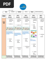 Playgroup Worksheets | PDF