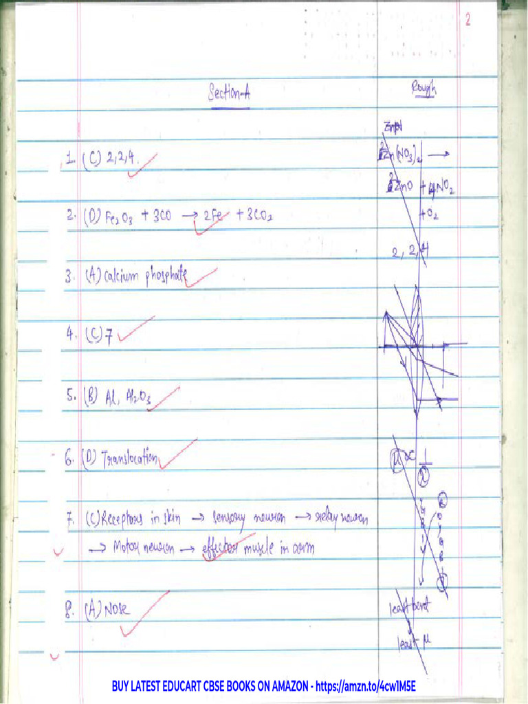 2024 CBSE 10 Science Topper Answer Sheet (1) | PDF