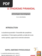 Syndrome Pyramidal | PDF | Système nerveux | Causes de décès