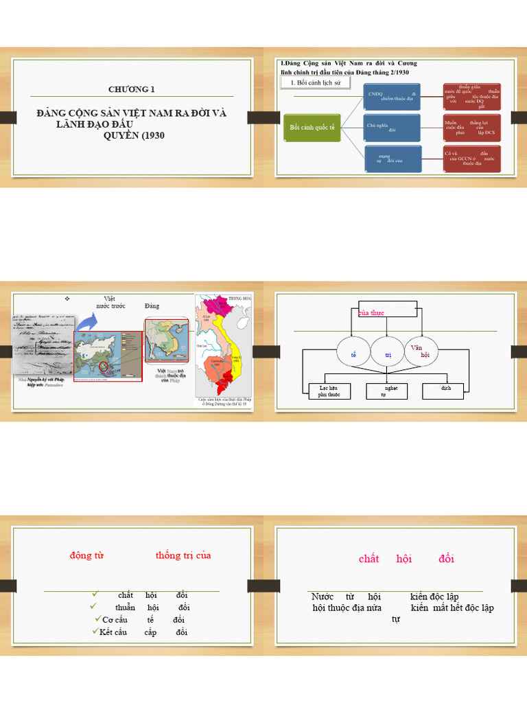 Slide Bai Giang LSDCSVN | PDF