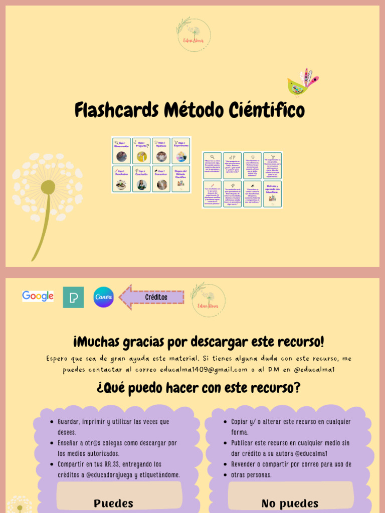 Flashcards del Método Científico | PDF | Experimentar