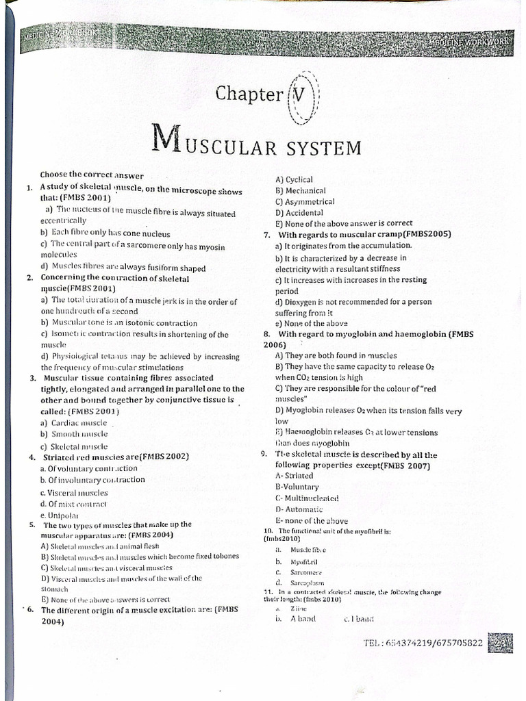 Muscular Systems | PDF