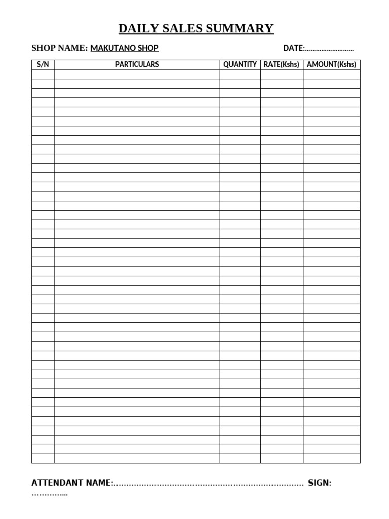Daily Sales Summary | PDF