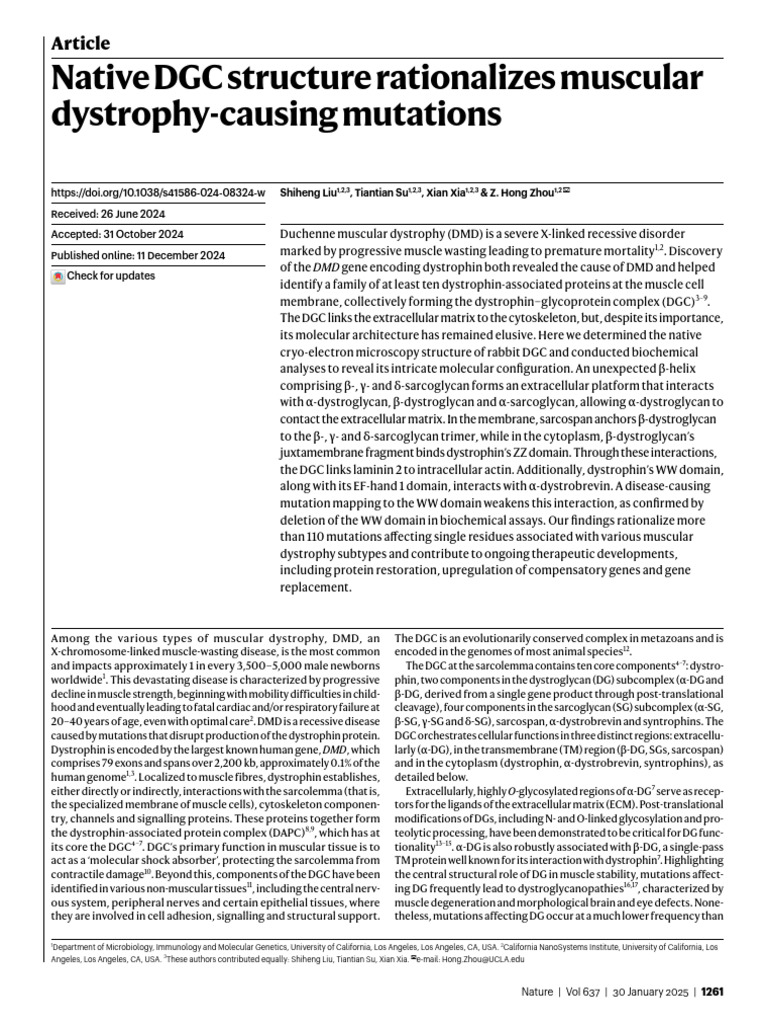 Native DGC Structure Rationalizes Muscular Dystrophy-Causing Mutations | PDF | Molecular ...
