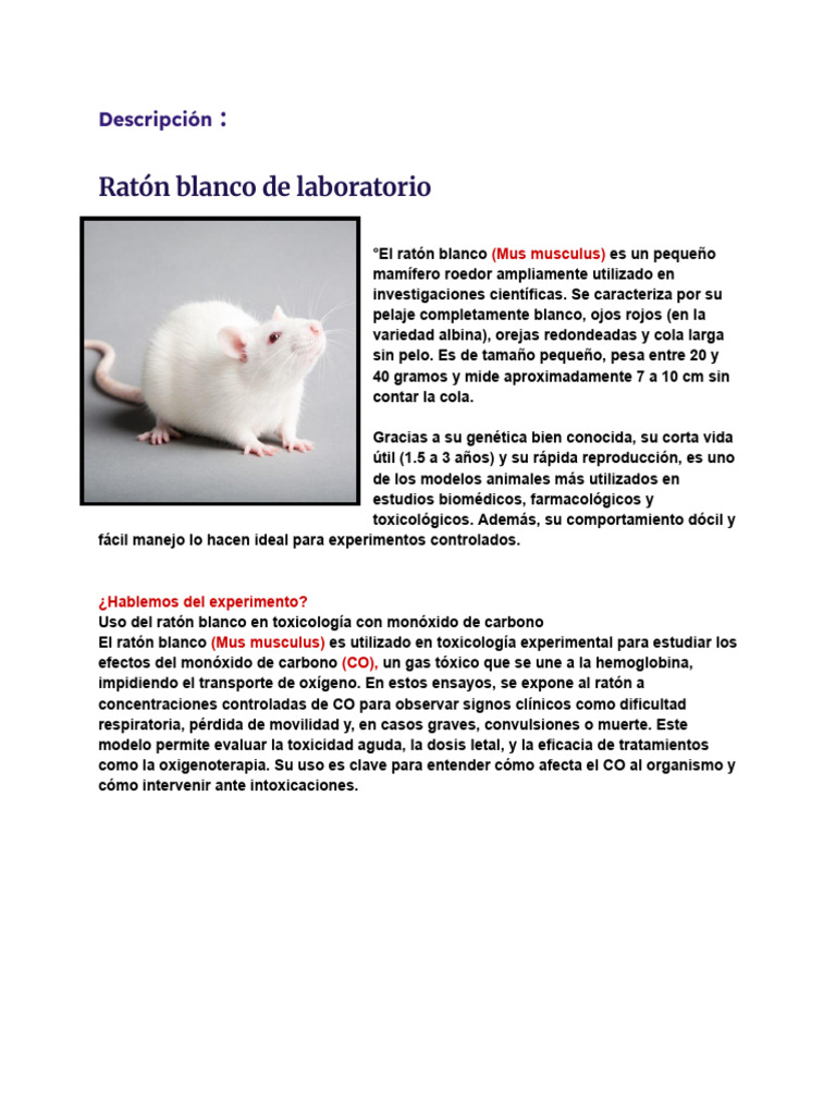Uso del ratón blanco en toxicología | PDF