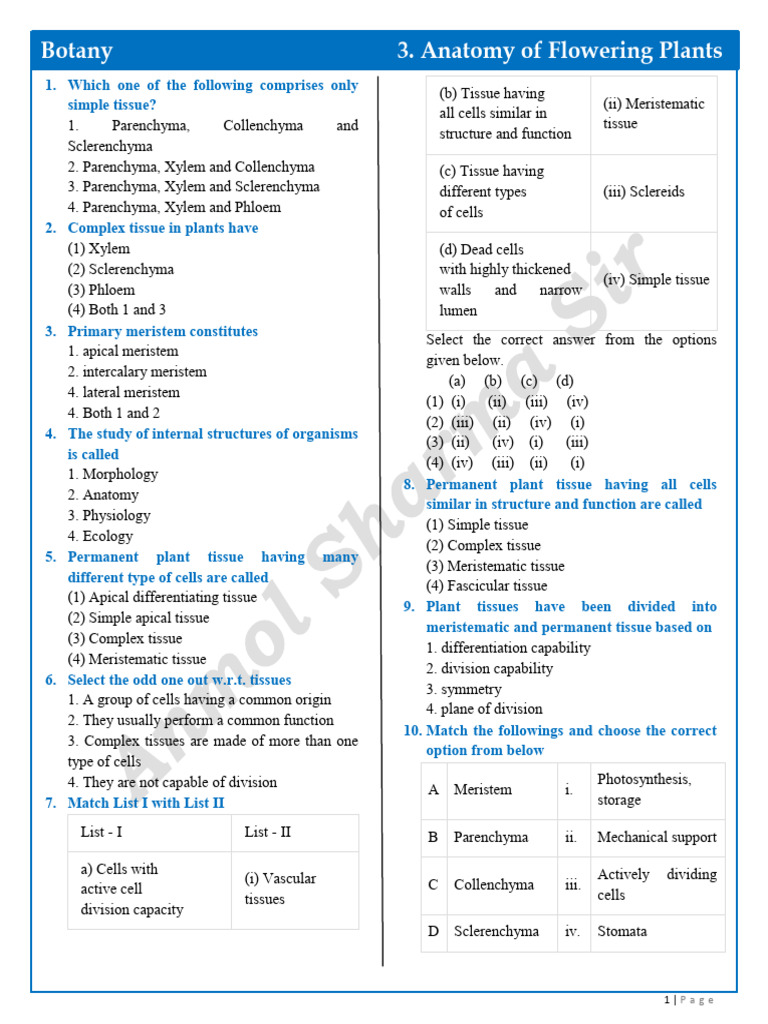 Anatomy of Flowering Plants | PDF | Plant Stem | Tissue (Biology)