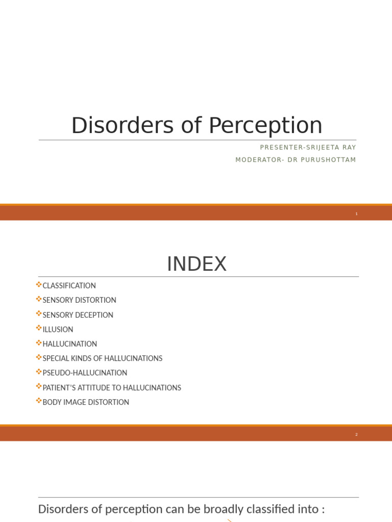 Understanding Hallucinations and Illusions | PDF | Hallucination ...