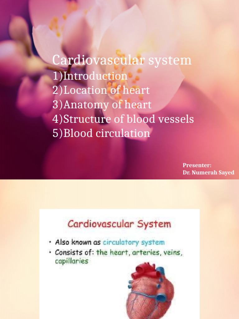 Num Ppt | Pdf
