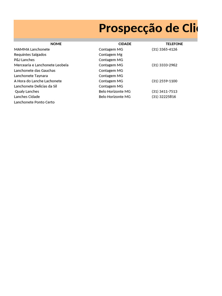 Agenda Telefonica em Excel | PDF