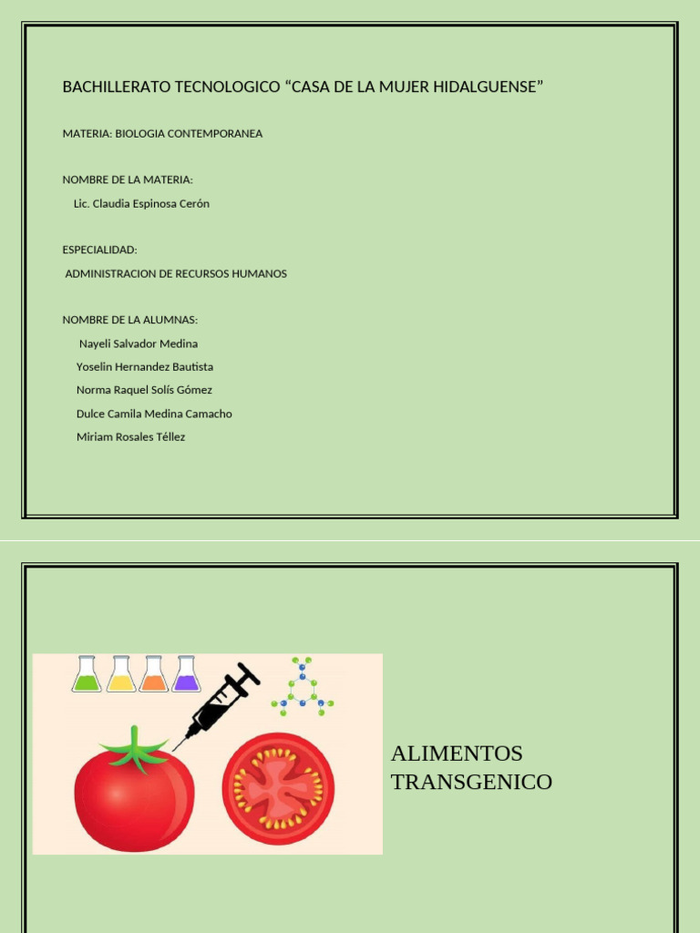 Actividades Alimentos Transgénicos | PDF