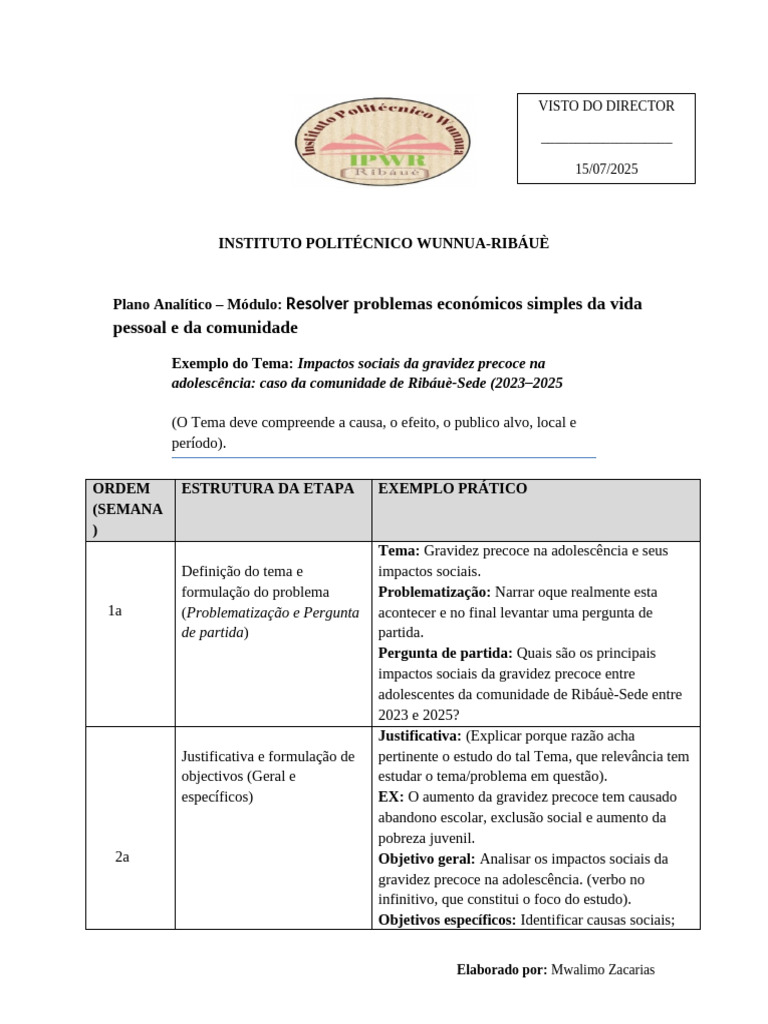 Impactos da Gravidez Precoce em Ribáuè | PDF | Sociologia | Economia