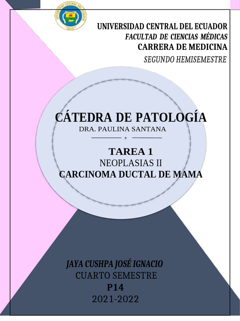 Jaya Cushpa Jose Ignacio - Trabajo 2.neoplasias II-carcinoma Ductal de Mama - p14 - s2-2h | PDF ...