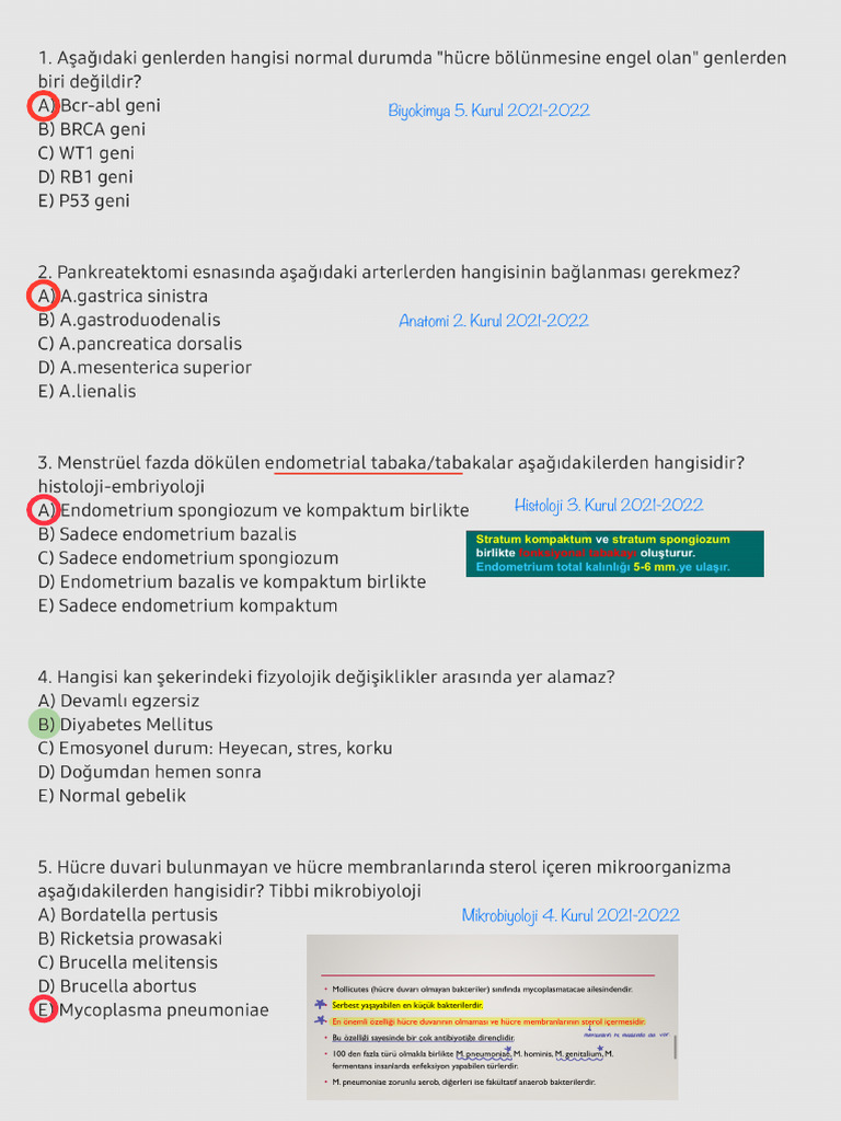 Final Hazırlık | PDF