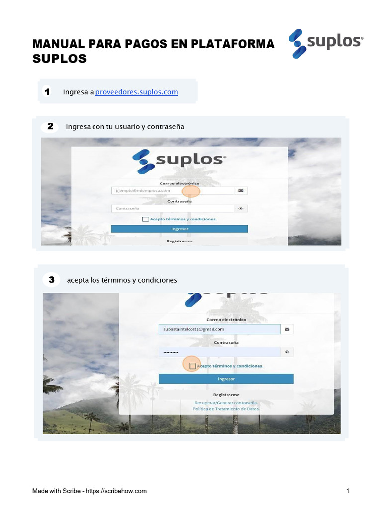 Manual Pago Suplos Por Plataforma PERENCO | PDF