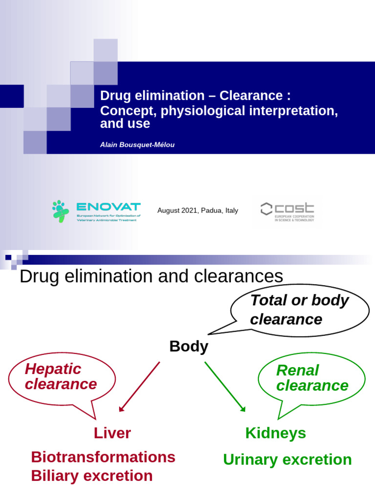 2 Drug Elimination Clearance | PDF | Medical Specialties | Drugs