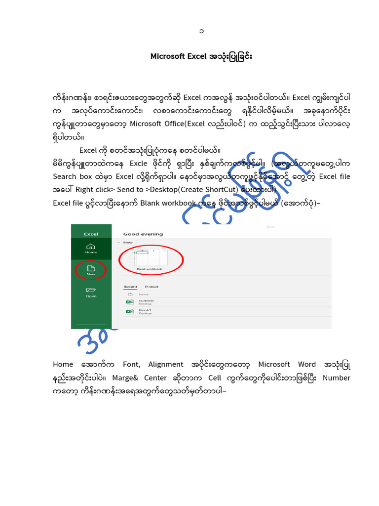 Microsoft Excel အသုံးပြုခြင်း | PDF