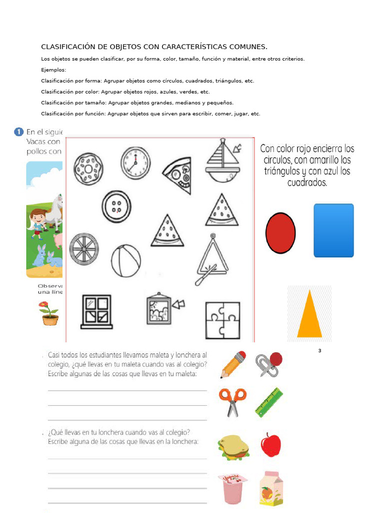 Clasificación de Objetos Con Características Comunes | PDF