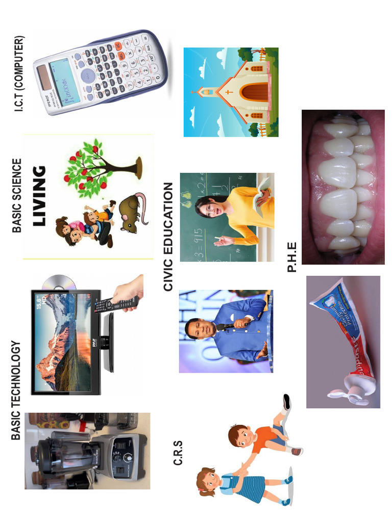 Assignment Picture | PDF