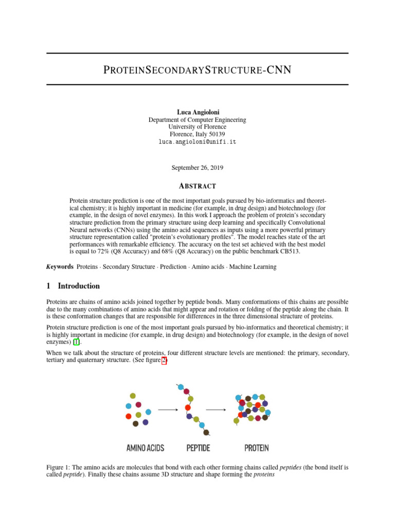 ProteinSecondaryStructure CNN | PDF | Protein Structure | Proteins
