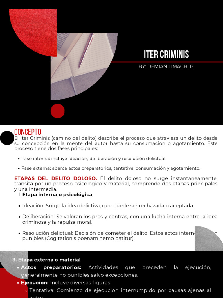 Tema 16 Inter Criminis | PDF