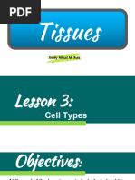 Chapter 4 Tissues Power Point | PDF | Tissue (Biology) | Epithelium