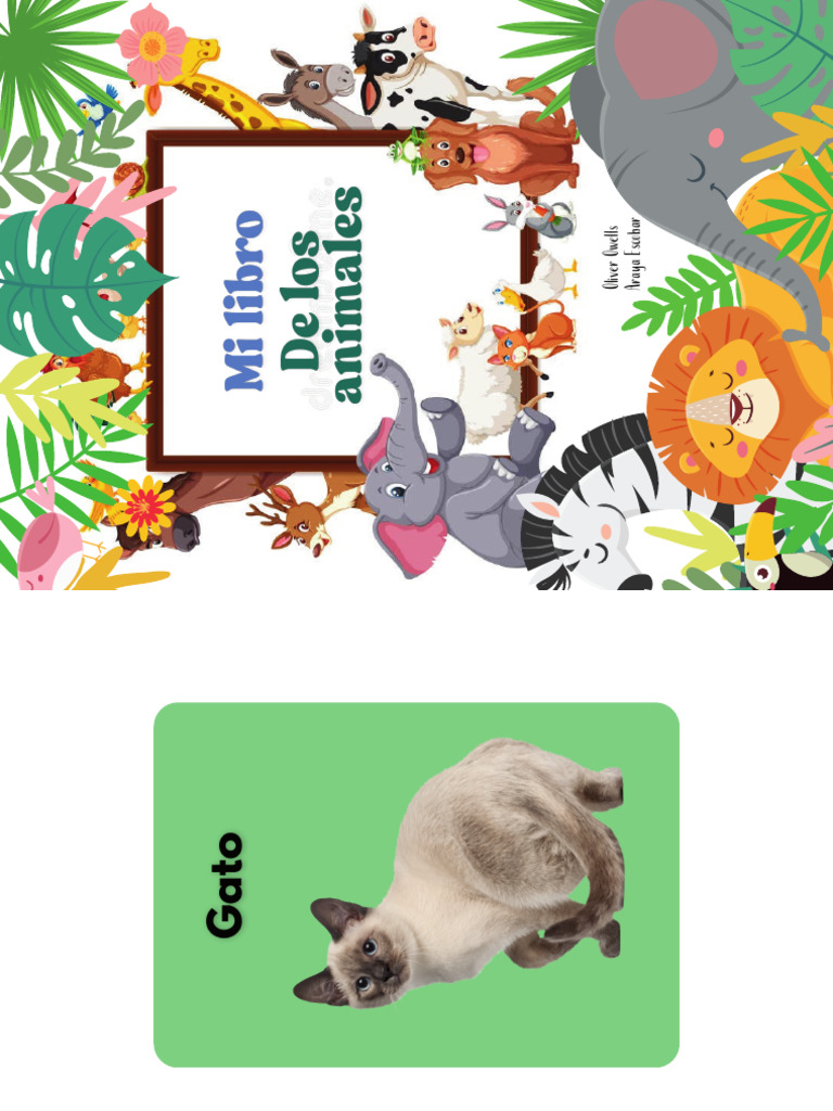 Aprende Los Animales Fotos Tarjetas Láminas - 20250727 - 183613 - 0000 ...