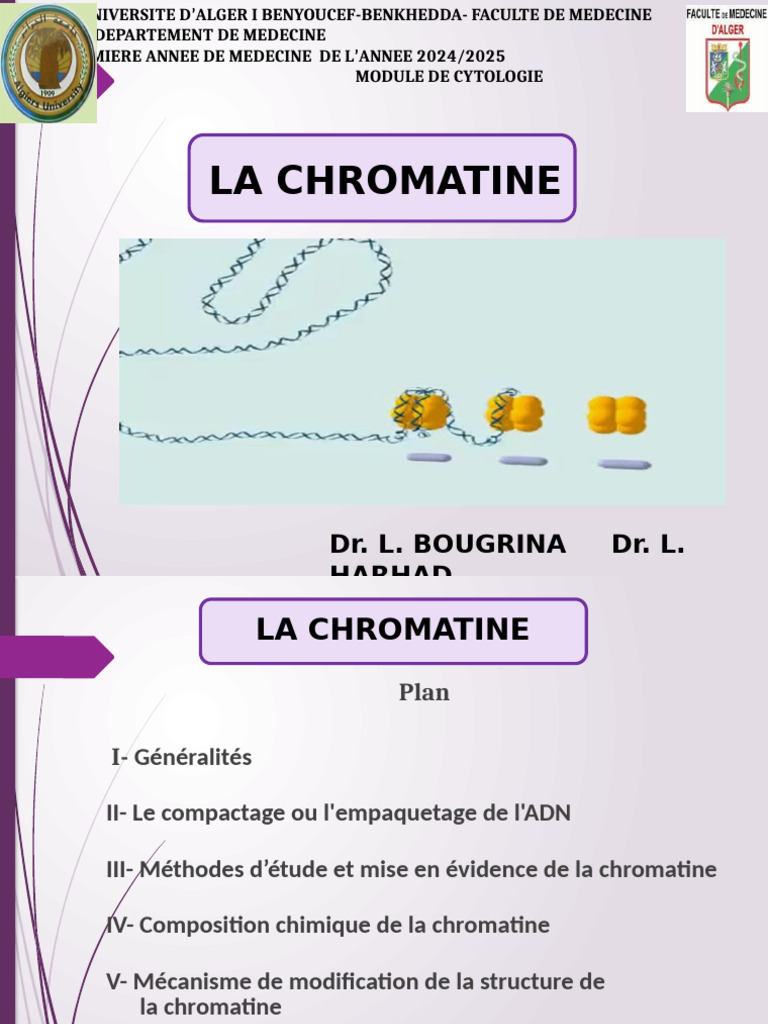 Comprendre la chromatine en médecine | PDF | Histone | Chromatine