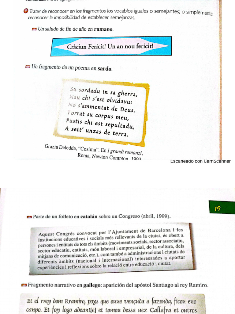 Ejercitaci-N Con Lenguas Romances | PDF