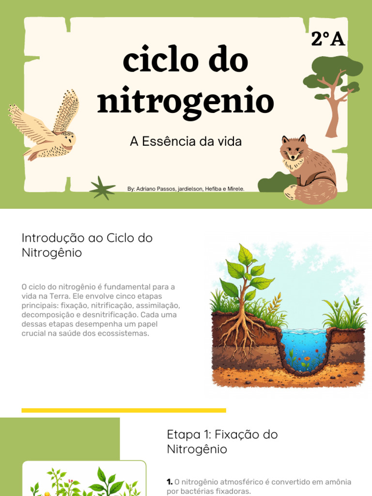 Slide_Ciclo do Nitrogênio.pptx_20250728_205132_0000 | PDF