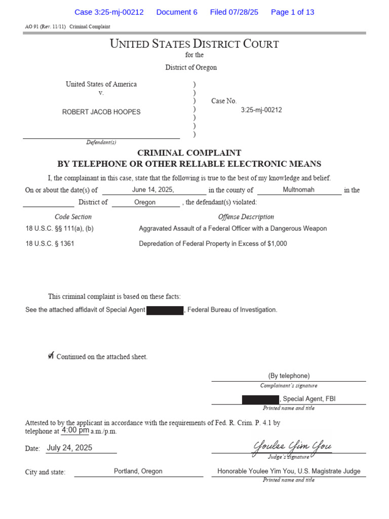 Robert Jacob Hoopes FBI Affidavit | PDF | Public Law | Crimes