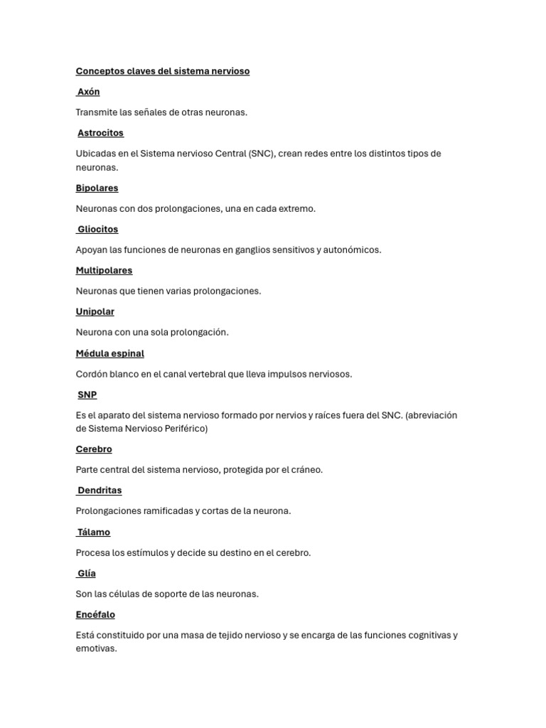 Conceptos Claves Del Sistema Nervioso | PDF