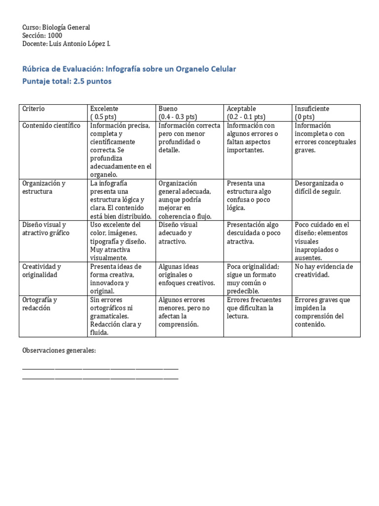 Rubrica Infografia Organelo Actualizada | PDF | Infografia | Diseño