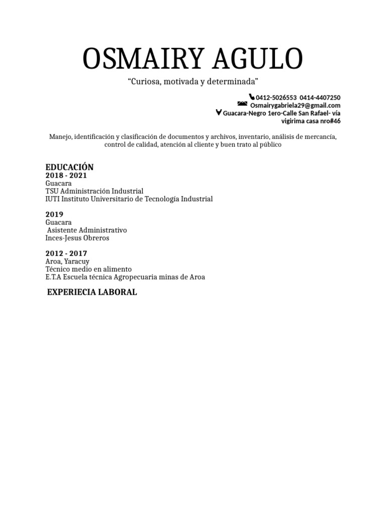 207 Curriculum Vitae Primer Trabajo | PDF