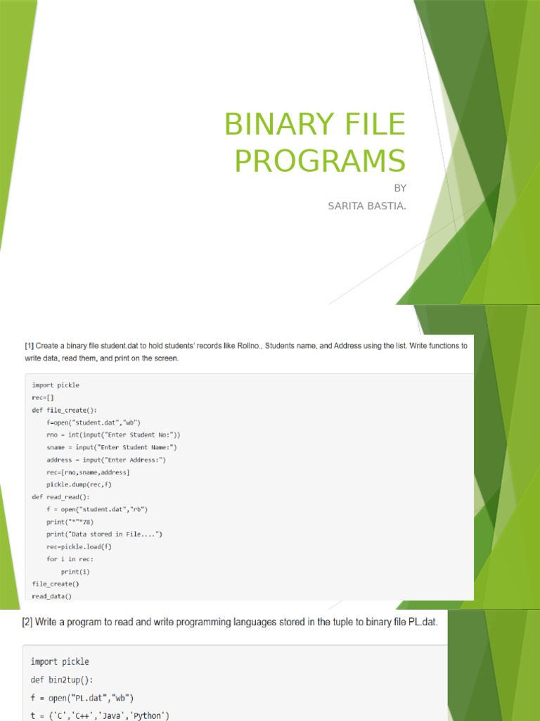 Binary File Programs | PDF