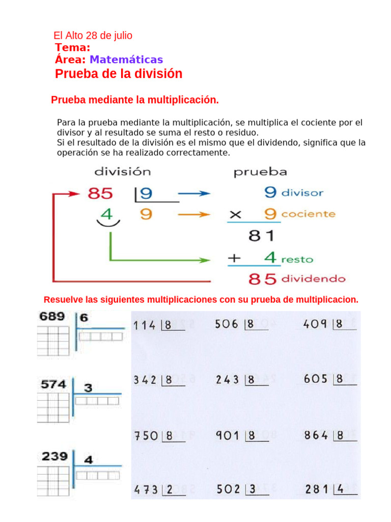 Matematicas Prueba de La Division | PDF