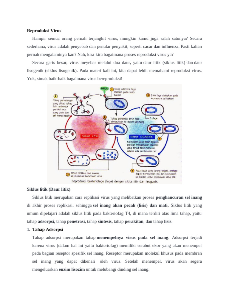 Proses Reproduksi Virus Litik dan Lisogenik | PDF