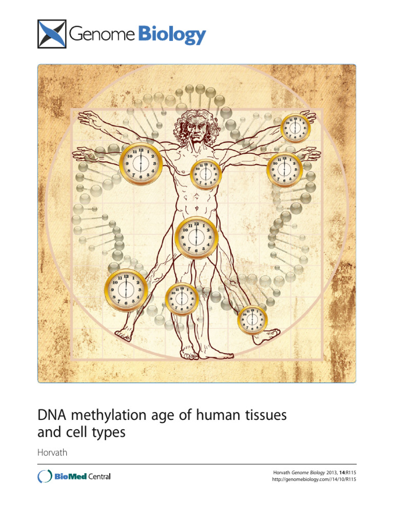 DNA Methylation Age Across Tissues | PDF | Dna Methylation | Biology